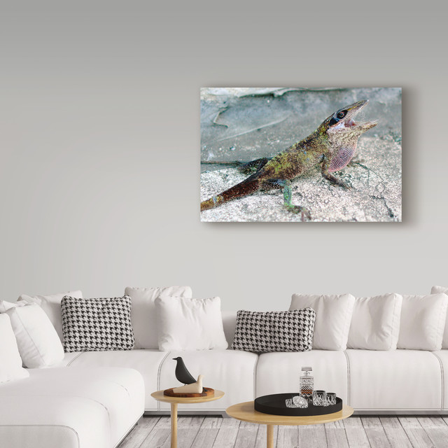Audrey 'Lizard' Canvas Art, 30"x47" - Contemporary - Prints And Posters ...