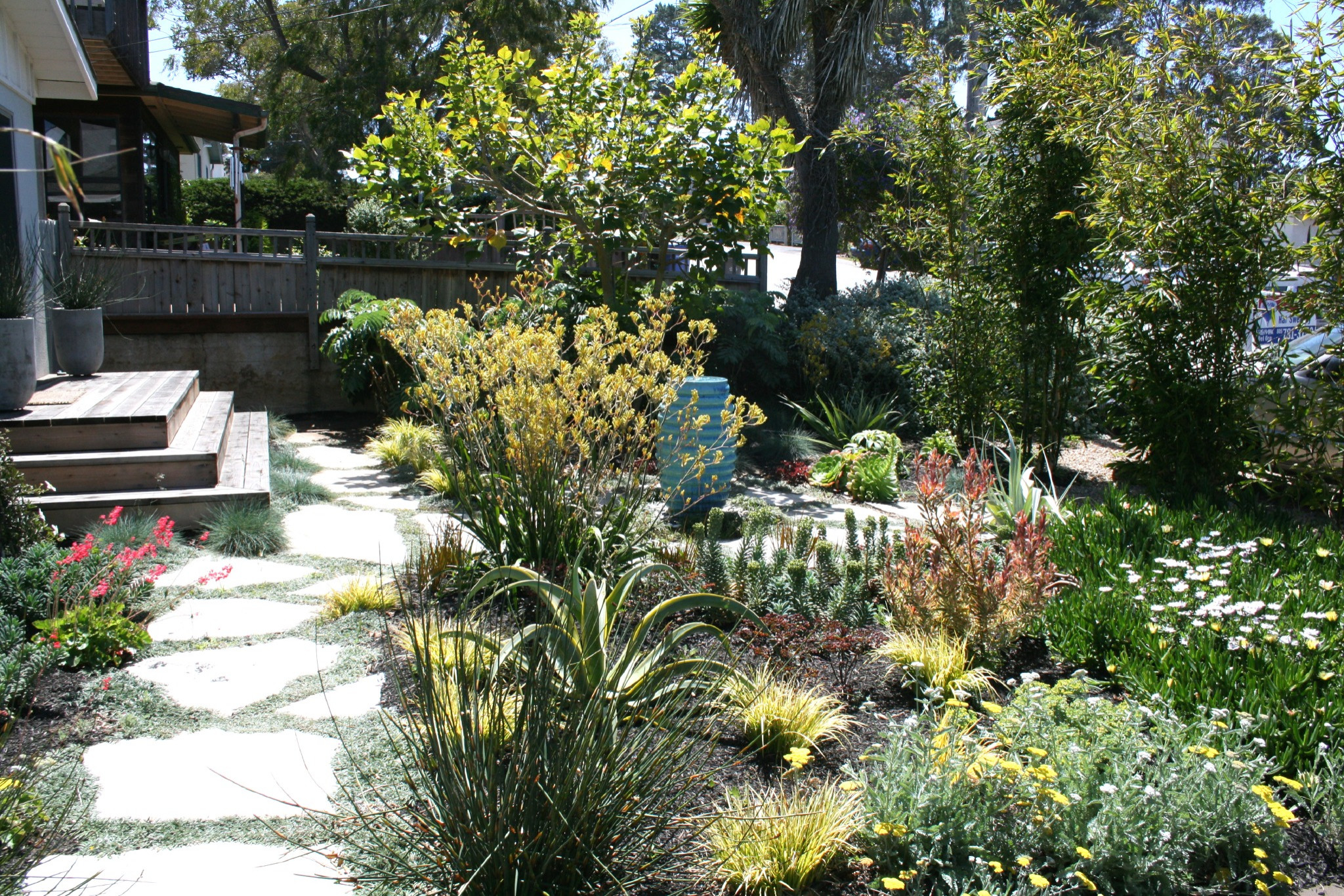 Transitional Landscape Design