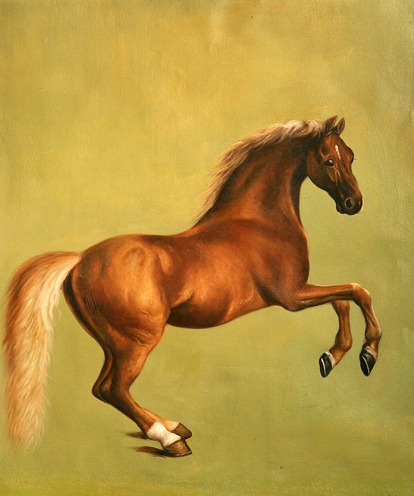 Stubbs "Whistlejacket" Oil Painting, 20X24 - Modern - Paintings - by ...