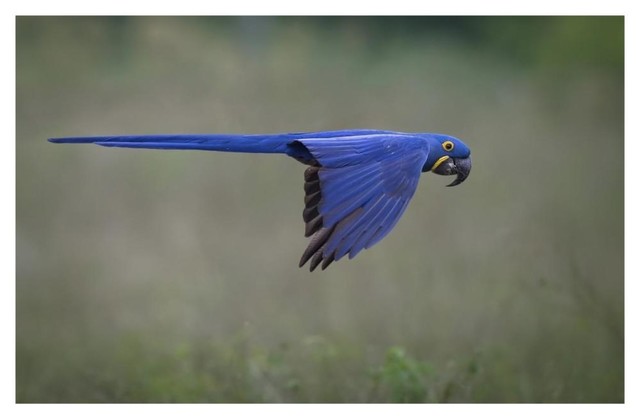 "Suspended" Digital Paper Print by Greg Barsh, 24"x16", 46"x30.2 ...