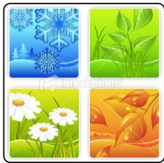 FOUR ELEMENTS LANDSCAPE & OUTDOOR LIVING - Project Photos & Reviews - Littleton, CO US | Houzz