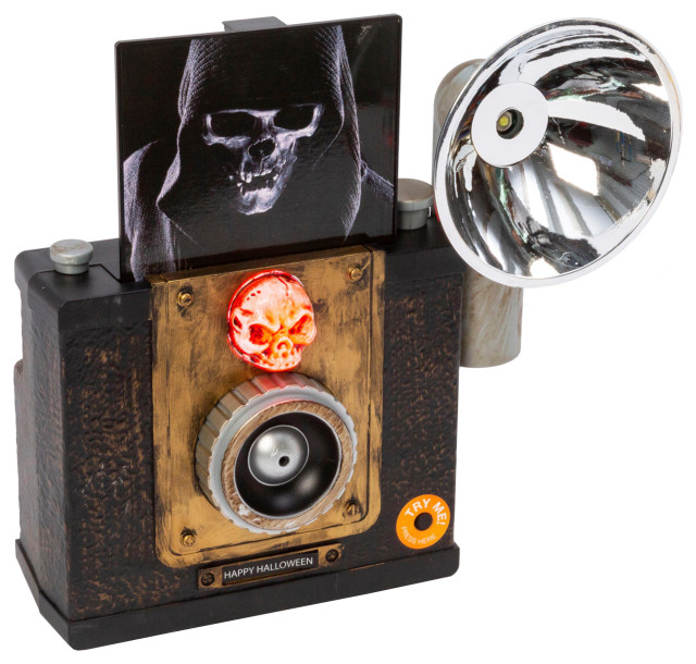 9.5-in B/O Lighted Animated Halloween Camera with Sound and motion ...