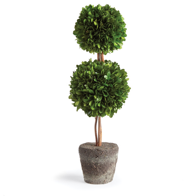 Boxwood Double Sphere Topiary Drop-In, 20", 6.5x6.5x19;Root ball: 4.5x4 ...