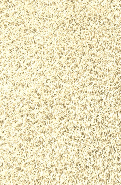 Hand Woven Vanilla Shag Area Rug, 7'10"x9'10" - Contemporary - Area ...