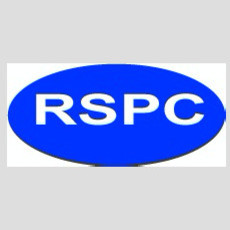 RSP CONSTRUCTION - Project Photos & Reviews - Mountain View, CA US | Houzz