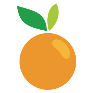 ORANGE HOME • DESIGN | REMODEL | BUILD - Project Photos & Reviews ...