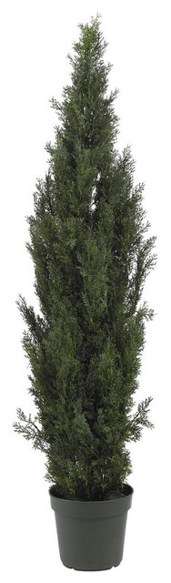 6' Indoor and Outdoor Mini Cedar Pine Tree - Contemporary - Artificial ...