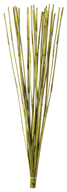 Vickerman H1ELR100 40 Basil Elephant Reed, 10 oz Bundle, Dried ...