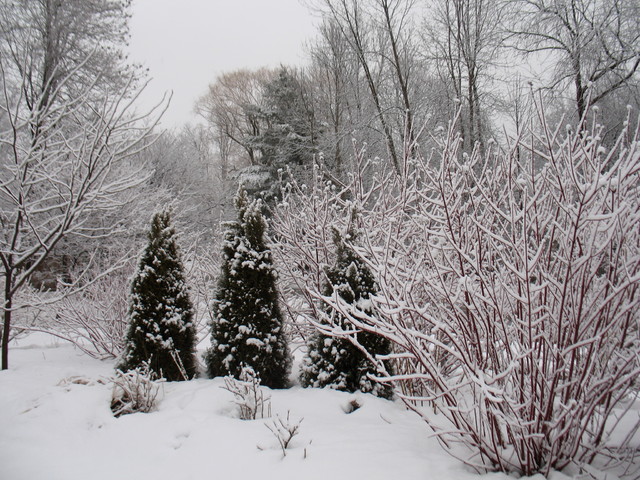Northeast Gardener's December Checklist