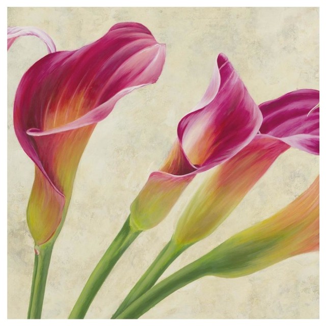 "Calla Parade II" Digital Paper Print by Luca Villa, 20"x20", 38"x38 ...