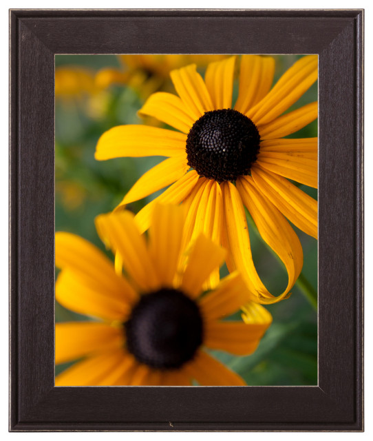 Academic Honors 1.25" Thick Wood Frame, 14"x20" - Transitional ...