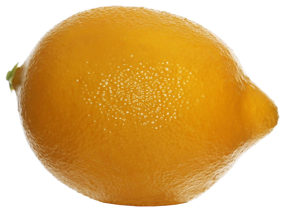75Mm Styrofoam Lemon (Pk/12) - Farmhouse - Decorative Objects And ...