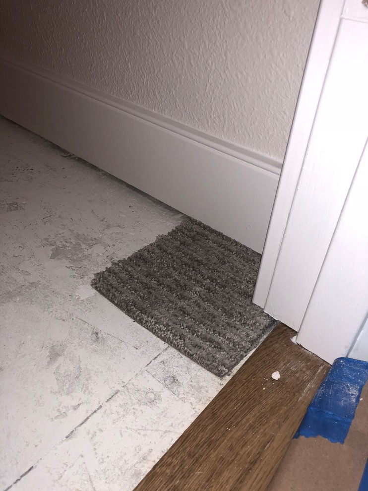 which carpet color choose with alabaster sw walls?