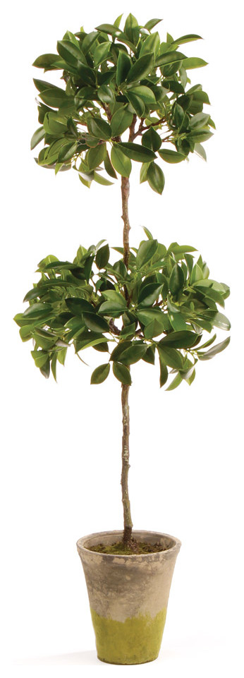 Ficus Topiary With Pot, 31" - Artificial Plants And Trees - by Napa ...