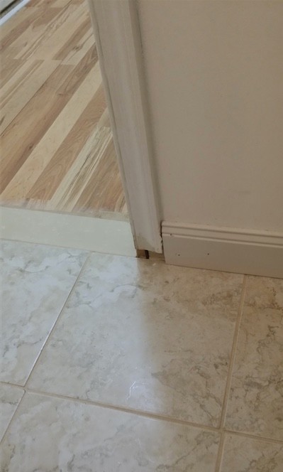 Tile to Wood Transition and Door Frame