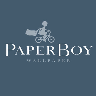 Paperboy Logo About Us — Paperboy Marketing