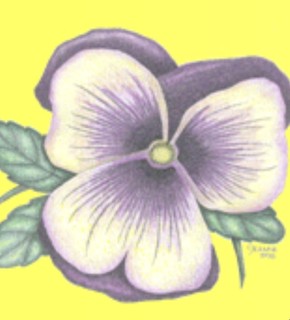 DESIGNS BY JEANNE M. COSTELLO, LTD. - Project Photos & Reviews ...