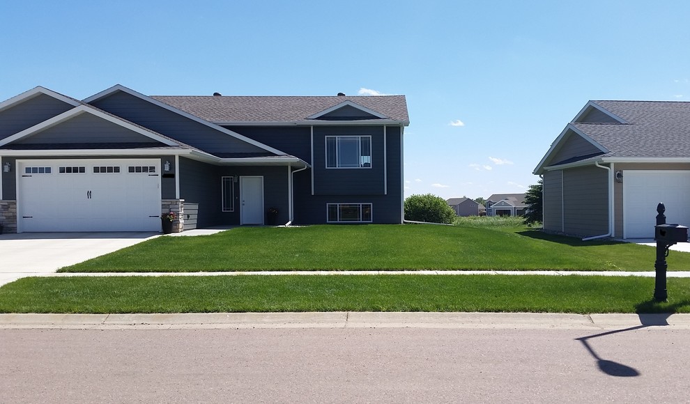 Need help with tree selection and placement location in front yard