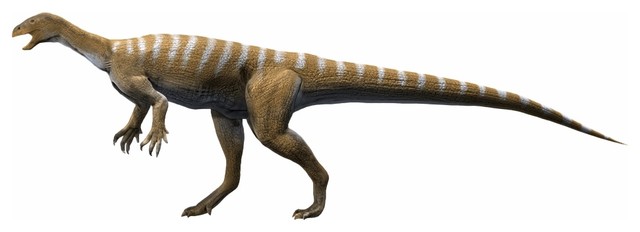 Thecodontosaurus Antiquus Late Triassic Of The United Kingdom, Print ...