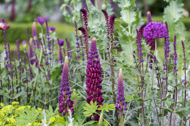 How to Create a Wildlife-friendly Garden in Spring | Houzz UK