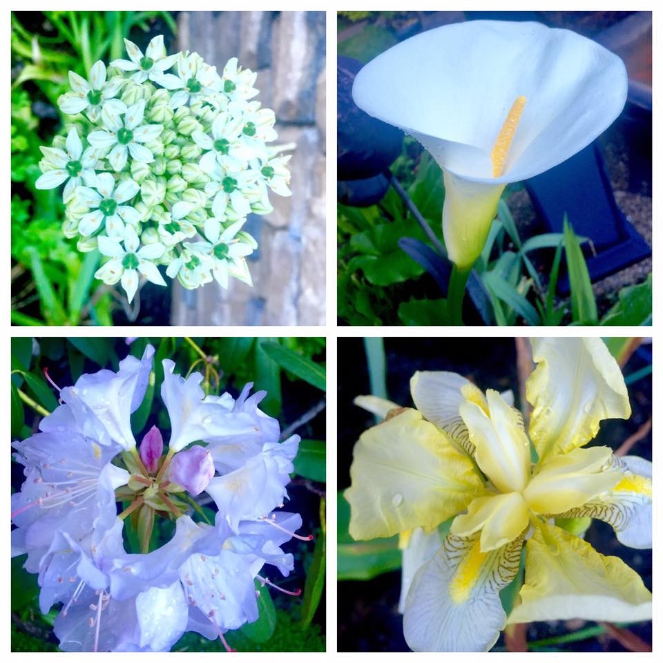 What Kind of Gardener Are You? Find Your Archetype