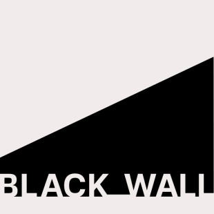BLACK_WALL - Project Photos & Reviews - St. Petersburg, RU RU | Houzz