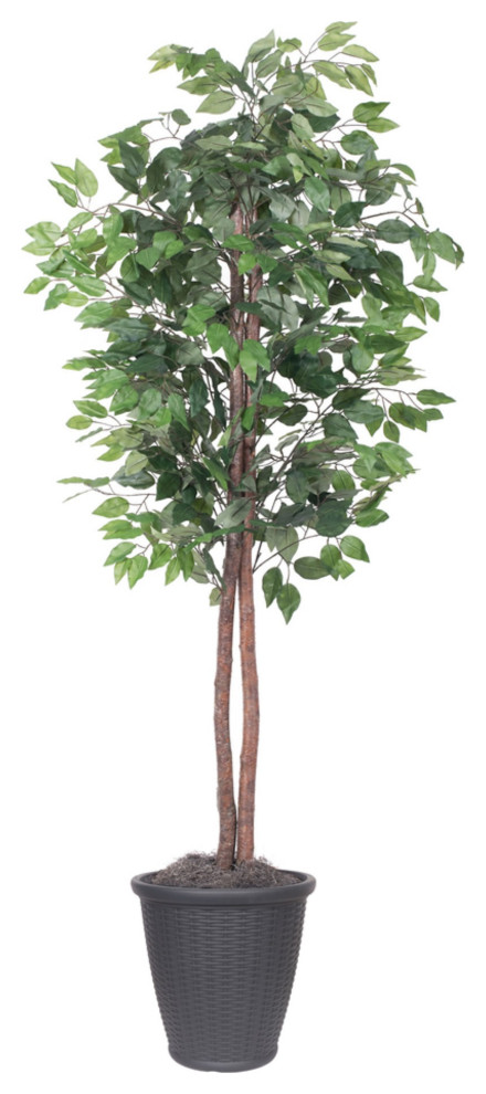 6' Ficus Tree Round Gray Container - Contemporary - Artificial Plants ...