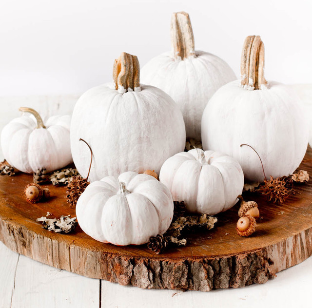 Stylishly Alternative Pumpkin Ideas for Halloween | Houzz AU