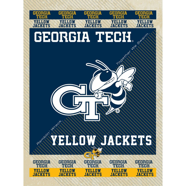 Holland Georgia Tech 24"x32" Canvas 04 Wall Art - Contemporary - Prints ...