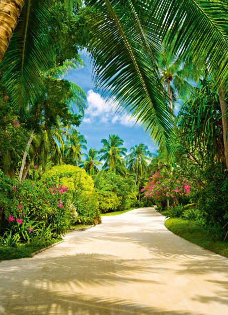 Tropical Pathway Wall Mural - Tropical - Wallpaper - by The Home Store ...
