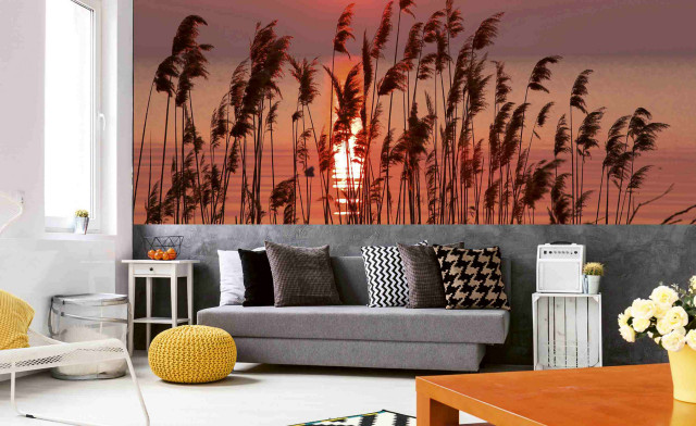 Reed On Lake Wall Mural - Contemporary - Wallpaper - by Brewster Home ...