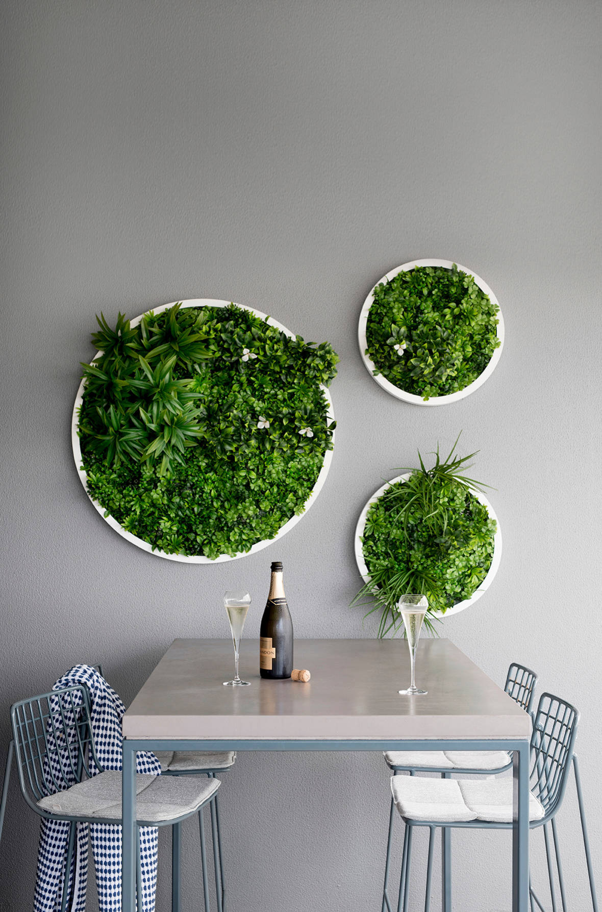 25 Stunning Plant Features | Houzz NZ