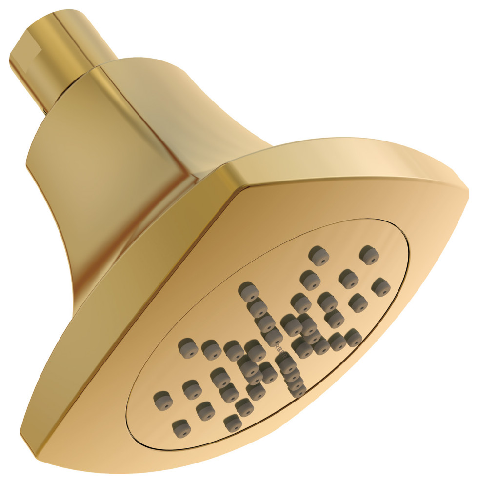 Vaughn Single Function Showerhead 1.5gpm Chrome - Contemporary ...