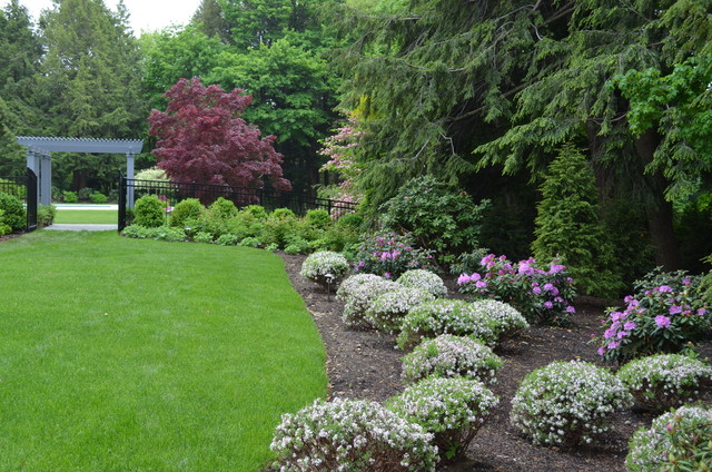 Layered Planting with 4 Season Interest - Traditional - Landscape ...