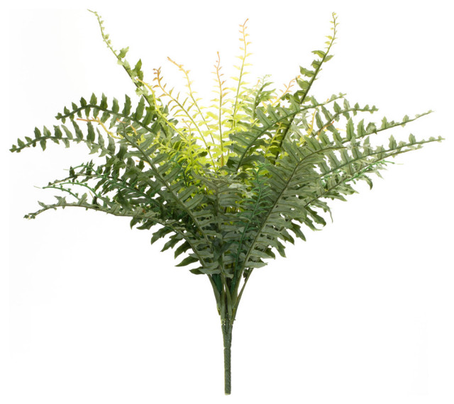 Fern Bush, 2-Piece Set - Traditional - Artificial Plants And Trees - by ...