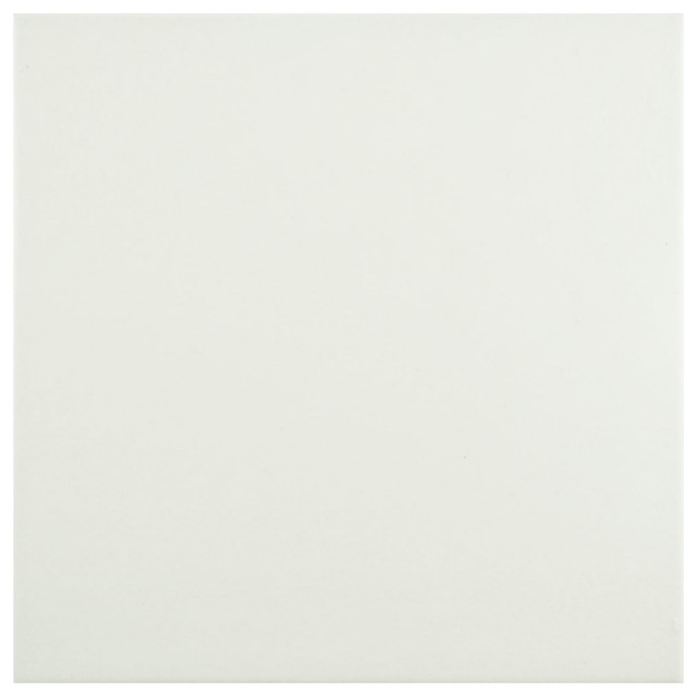 Jaen Porcelain Floor and Wall Tile, Basic White, Sample - Traditional ...