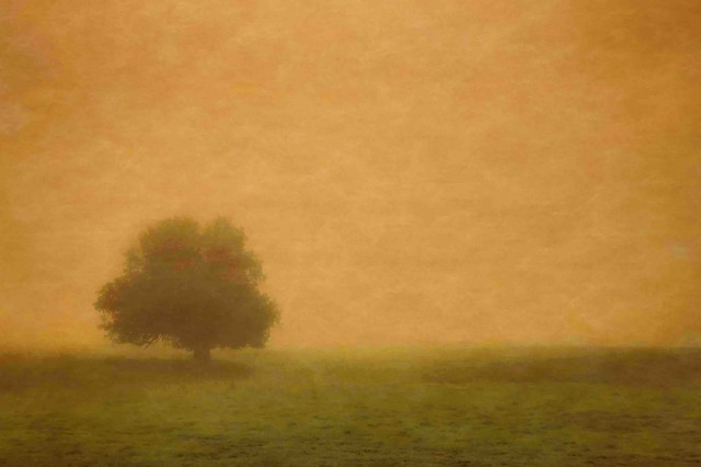 "Silent and Still" Painting Print on Canvas, 24"x16" - Contemporary ...