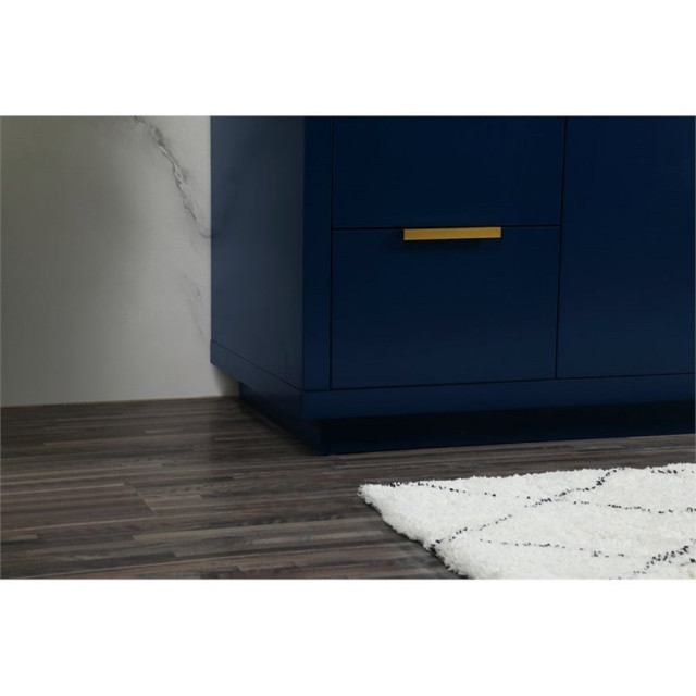 Elegant Decor Blake 60" Aluminum Alloy MDF Single Bathroom Vanity in ...
