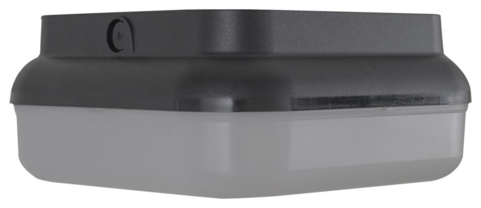 Resilience 2 Light Outdoor Ceiling Light, Textured Black - Transitional ...