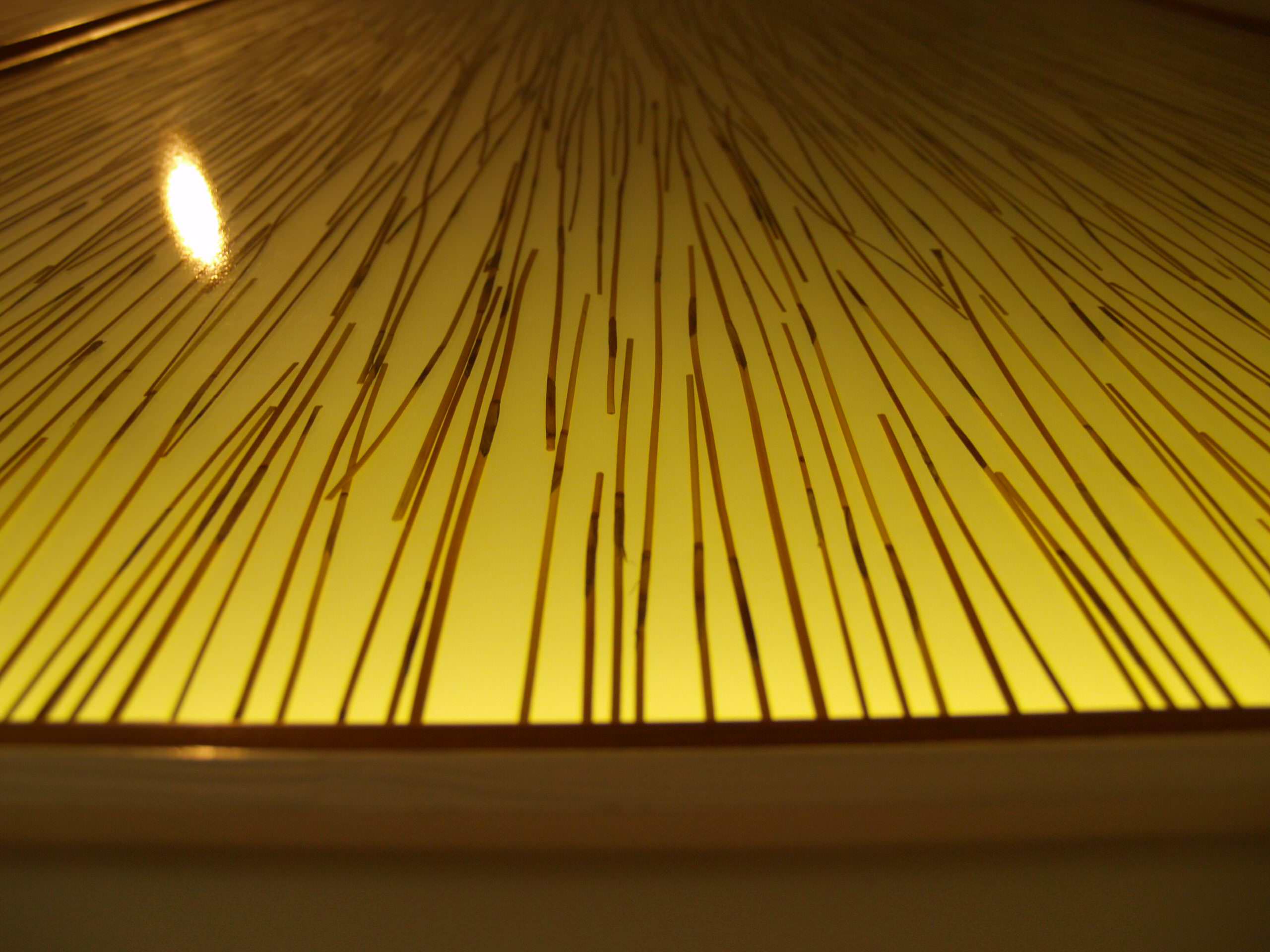 Lumicor Architectural Resin Panels 3form