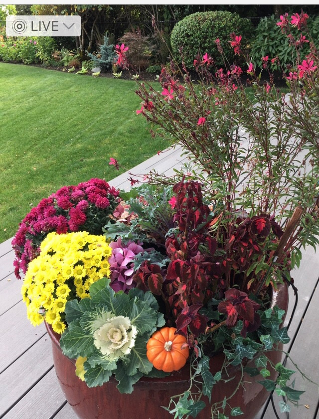 12 Fresh Fall Container Designs for Your Home and Garden