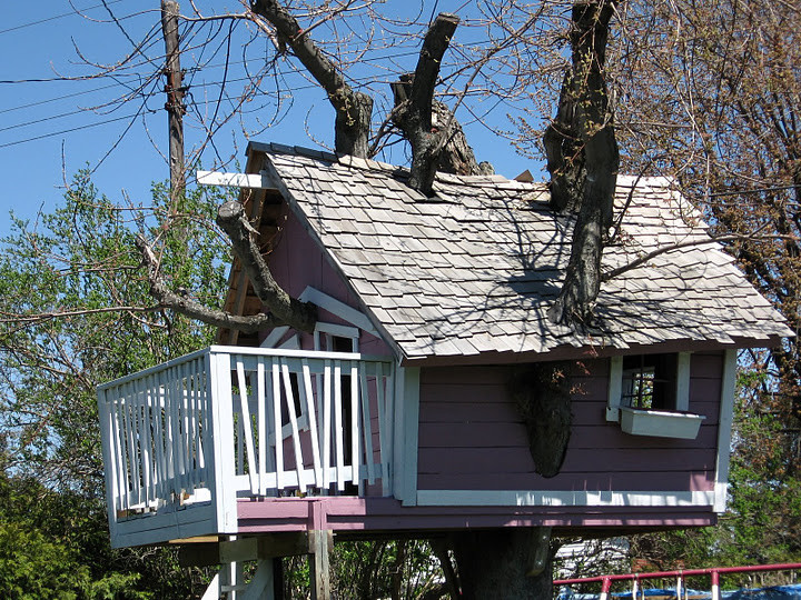 The Most Incredible Kids' Tree House You'll Ever See?