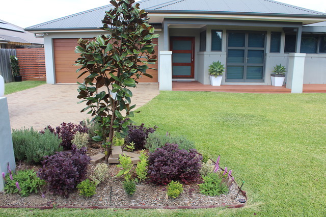 Front Yard - After - Modern - Sydney - by Designing Inside Out | Houzz AU