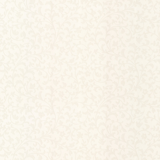 Emperor Cream Scroll Print Wallpaper, Sample - Contemporary - Wallpaper ...