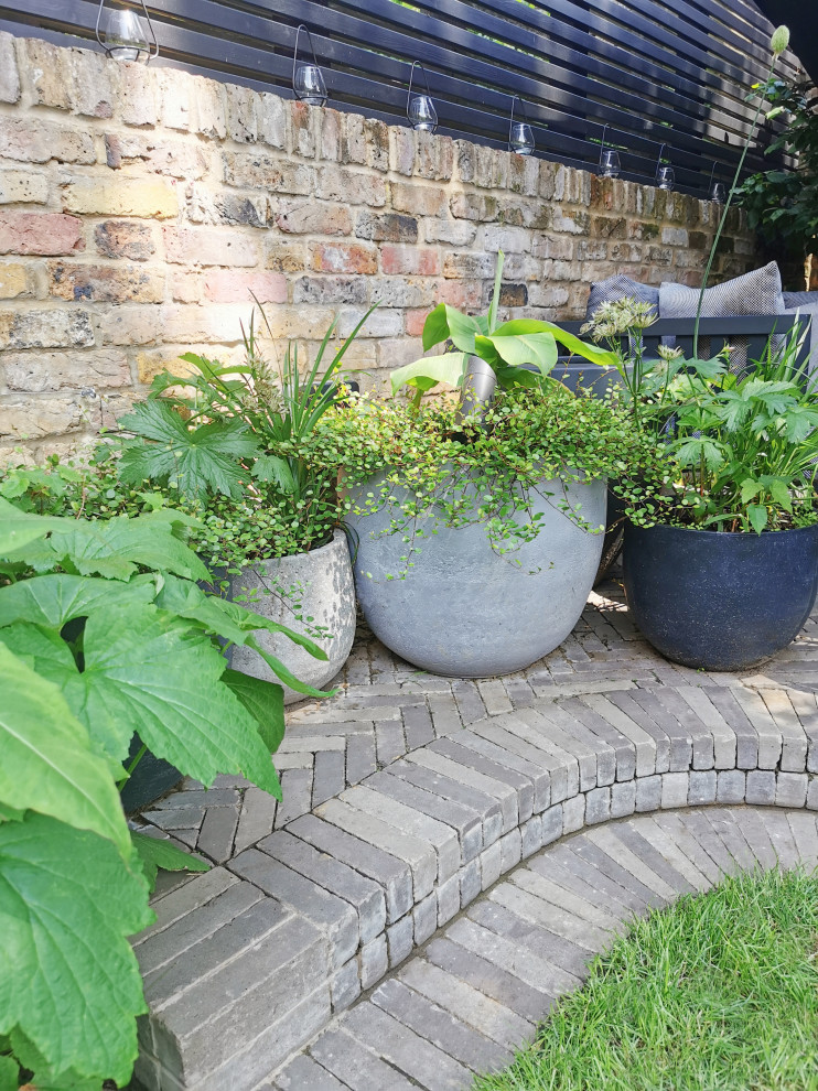 A cluster of pots - Contemporary - Garden - London - by Georgia Lindsay ...
