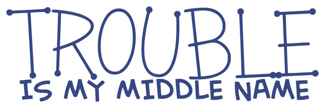 Decal Vinyl Wall Sticker Trouble Is My Middle Name Quote, 10"x40 ...