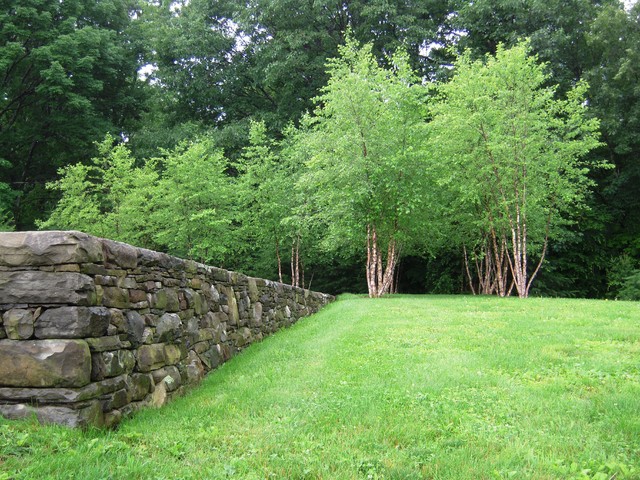 Flood-Tolerant Native Trees for Soggy Soil