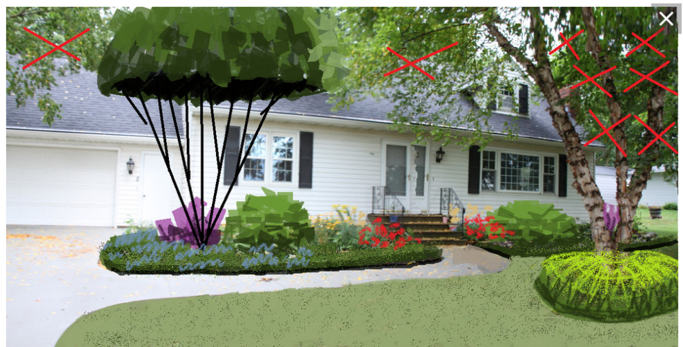 Small tree for front yard bed