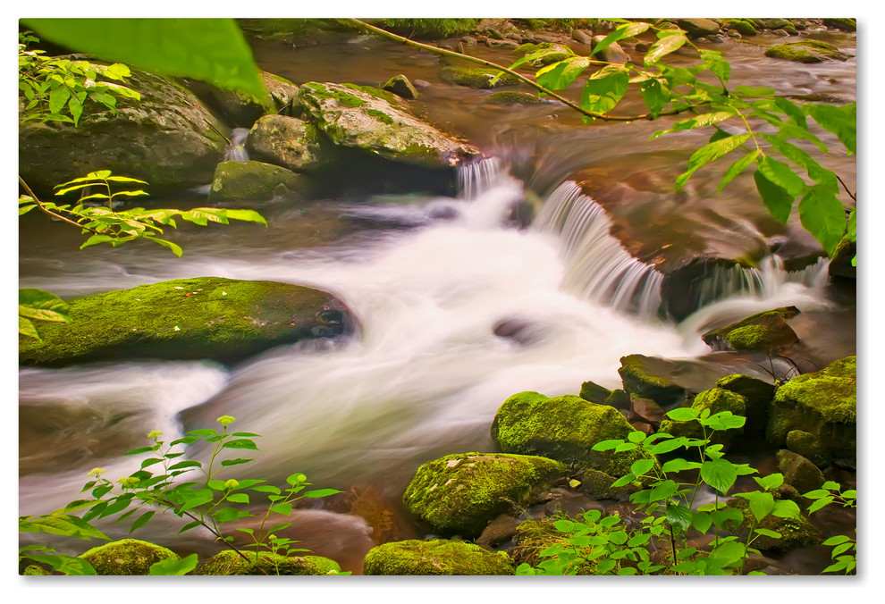 Bob Rouse 'mountain stream' Canvas Art, 22"x32" - Rustic - Prints And ...