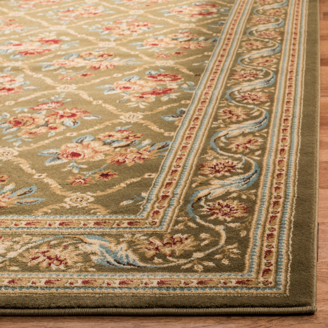 Safavieh Lyndhurst Collection LNH556 Rug, 8'x11' - Traditional - Area ...